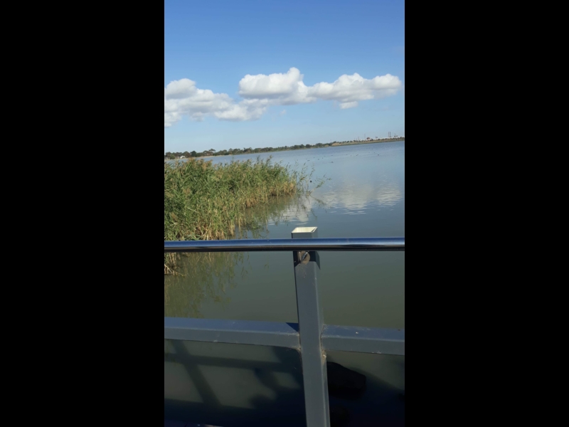 Cherry Lake - Walking Maps