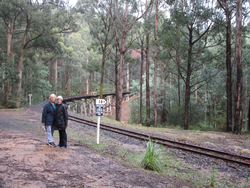 Wright Forest - Walking Maps
