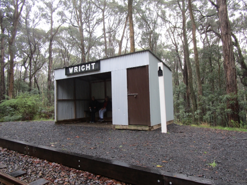 Wright Forest - Walking Maps