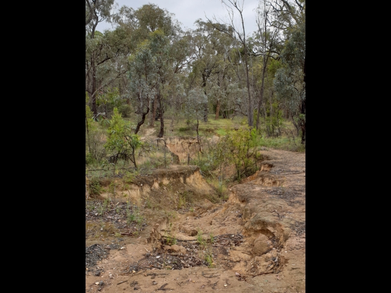From Junortoun to Strathdale via the Trotting-Cousins path - Walking Maps
