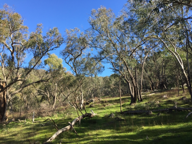 Salisbury Falls walk - Walking Maps
