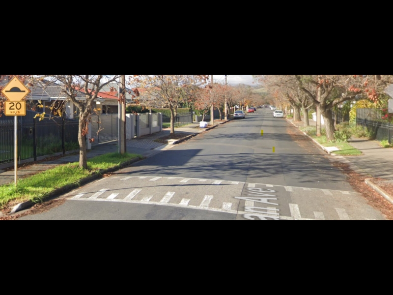 Walking Audit - Walking Maps