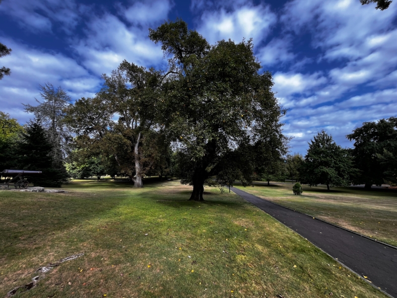 City Park, Launceston Tasmania - Walking Maps