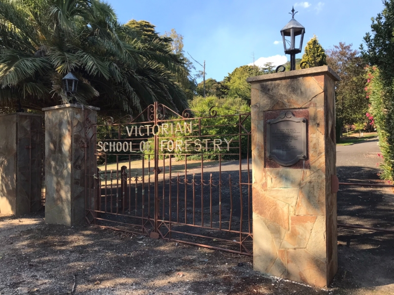 Victorian School of Forestry and arboretum walk - Walking Maps