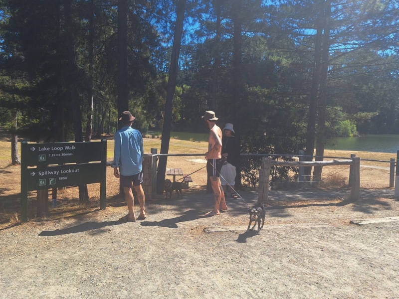 St Georges Lake Loop walk, Creswick - Walking Maps