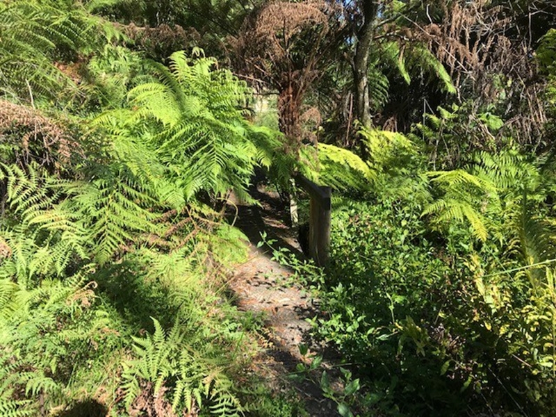 Sutherland Park Walk - Beaconsfield Upper - Walking Maps