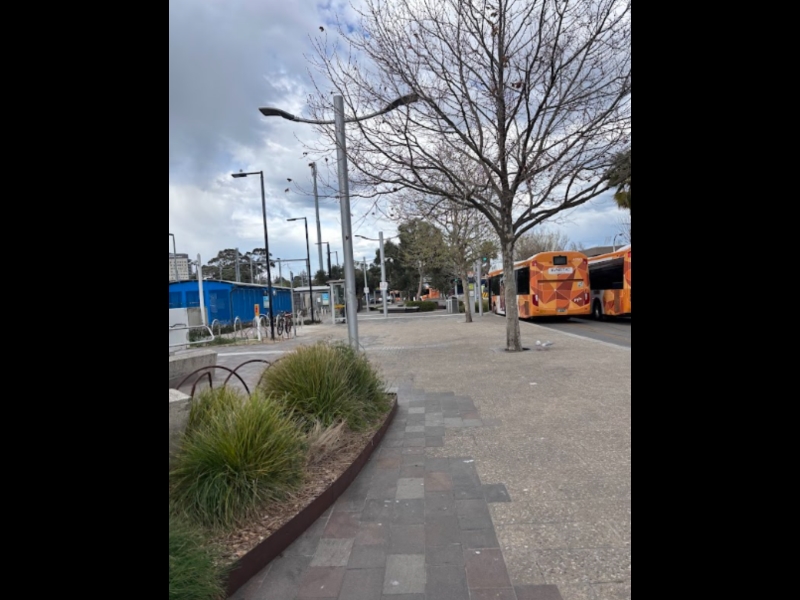 Frankston Station to Beach Loop - Walking Maps