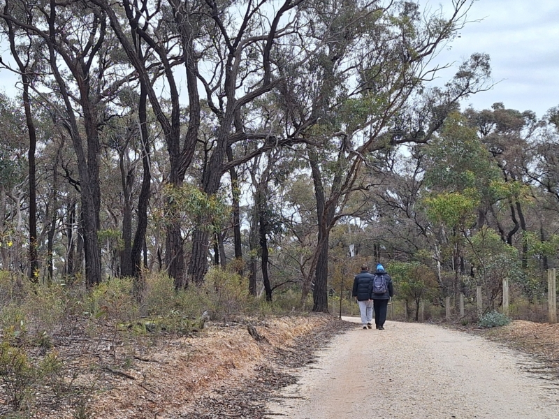 Step10 Bendigo 11km challenge walk - Walking Maps
